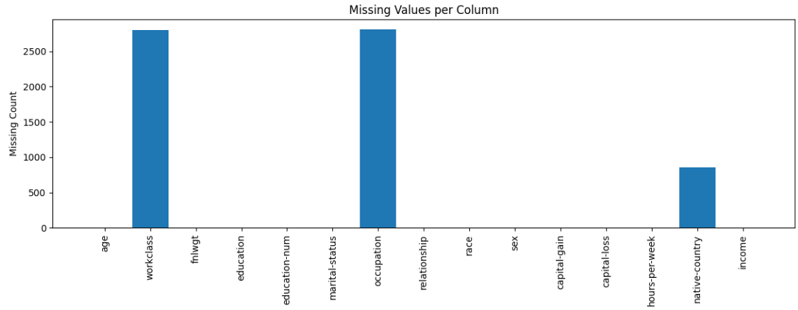 Adult Census Income | Assignment 1